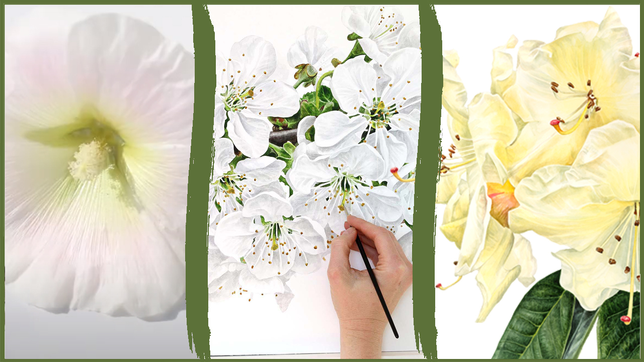 3 ways to get better at painting - Nature Studio