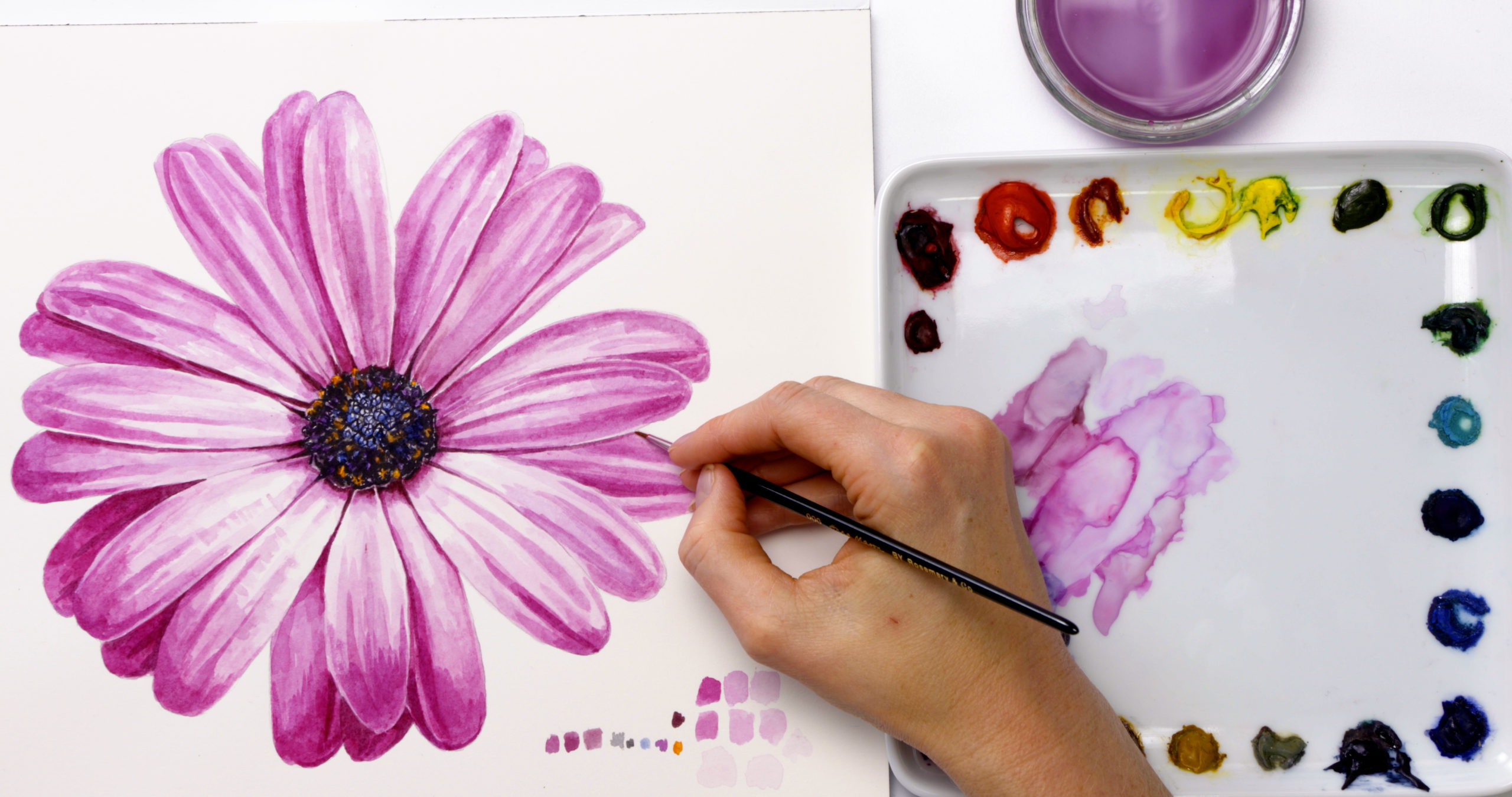 How to paint a colourful daisy flower in watercolour - Nature Studio