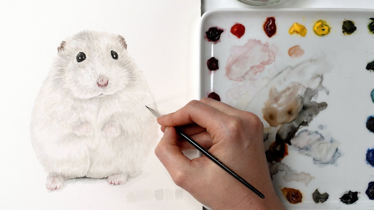 How to paint pale fur in watercolour - Nature Studio