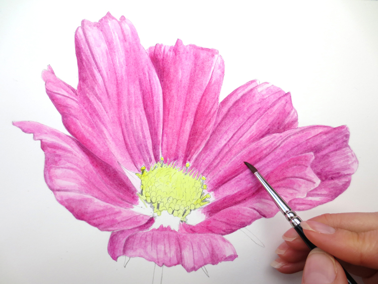 How to achieve IMPACT: Use high contrast - Nature Studio