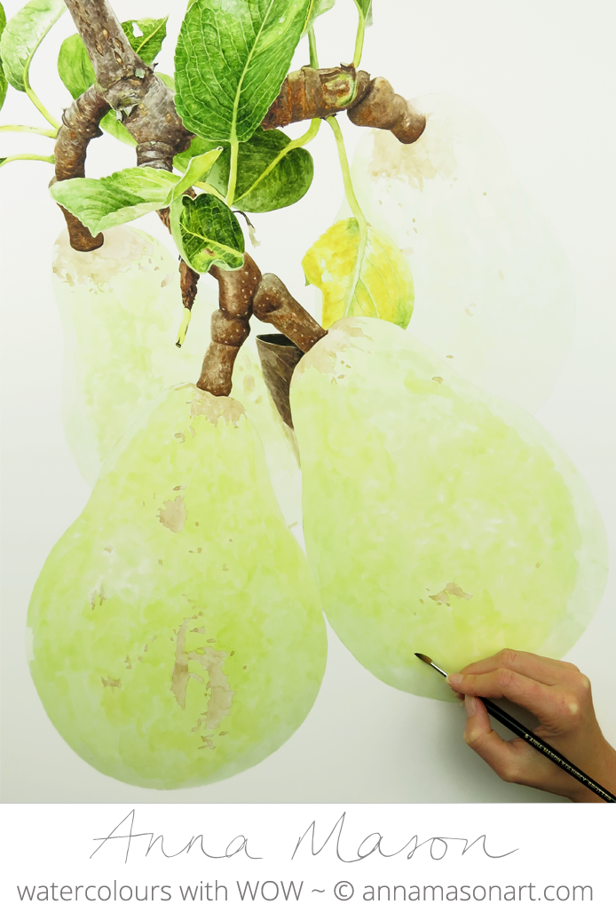 Pears 1 - for Artists & Illustrators magazine - Nature Studio