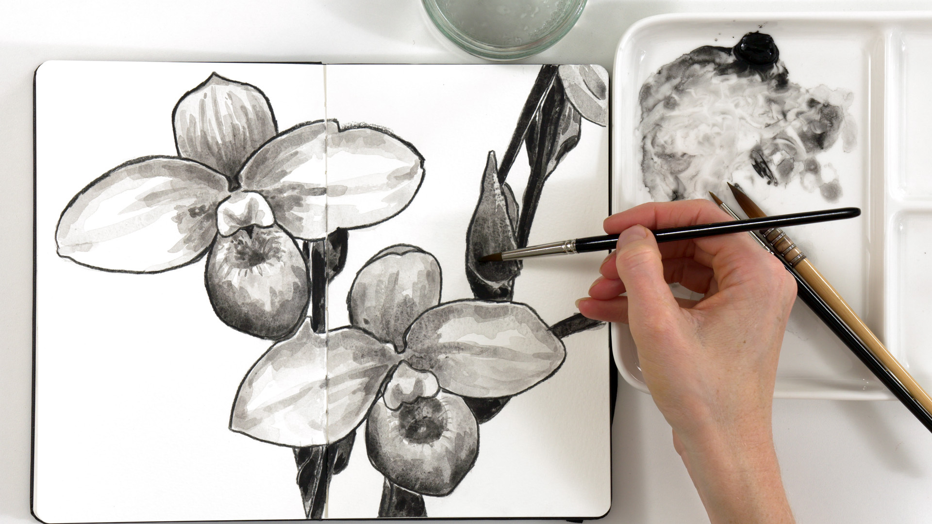 Monochrome flower painting - Nature Studio