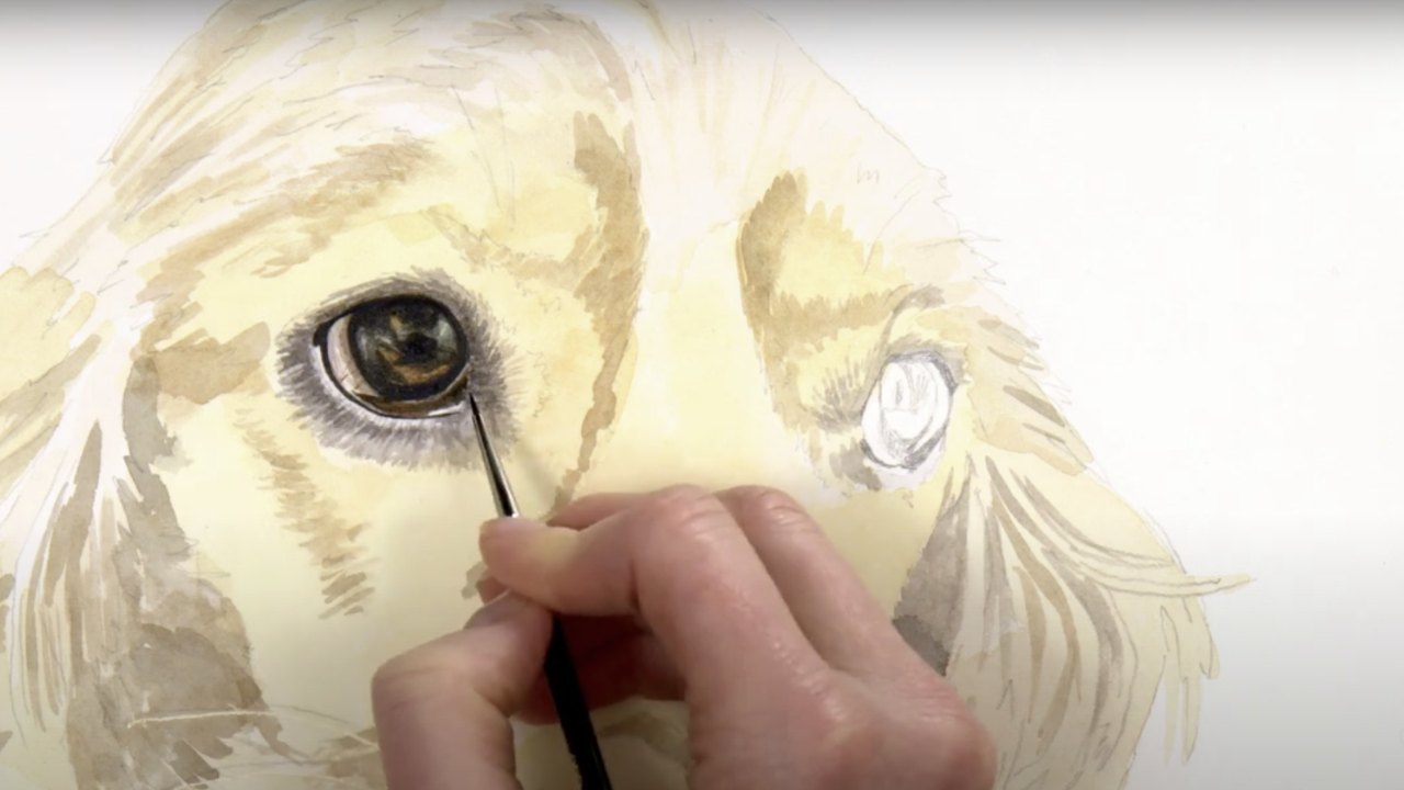 How to paint animal eyes - Nature Studio