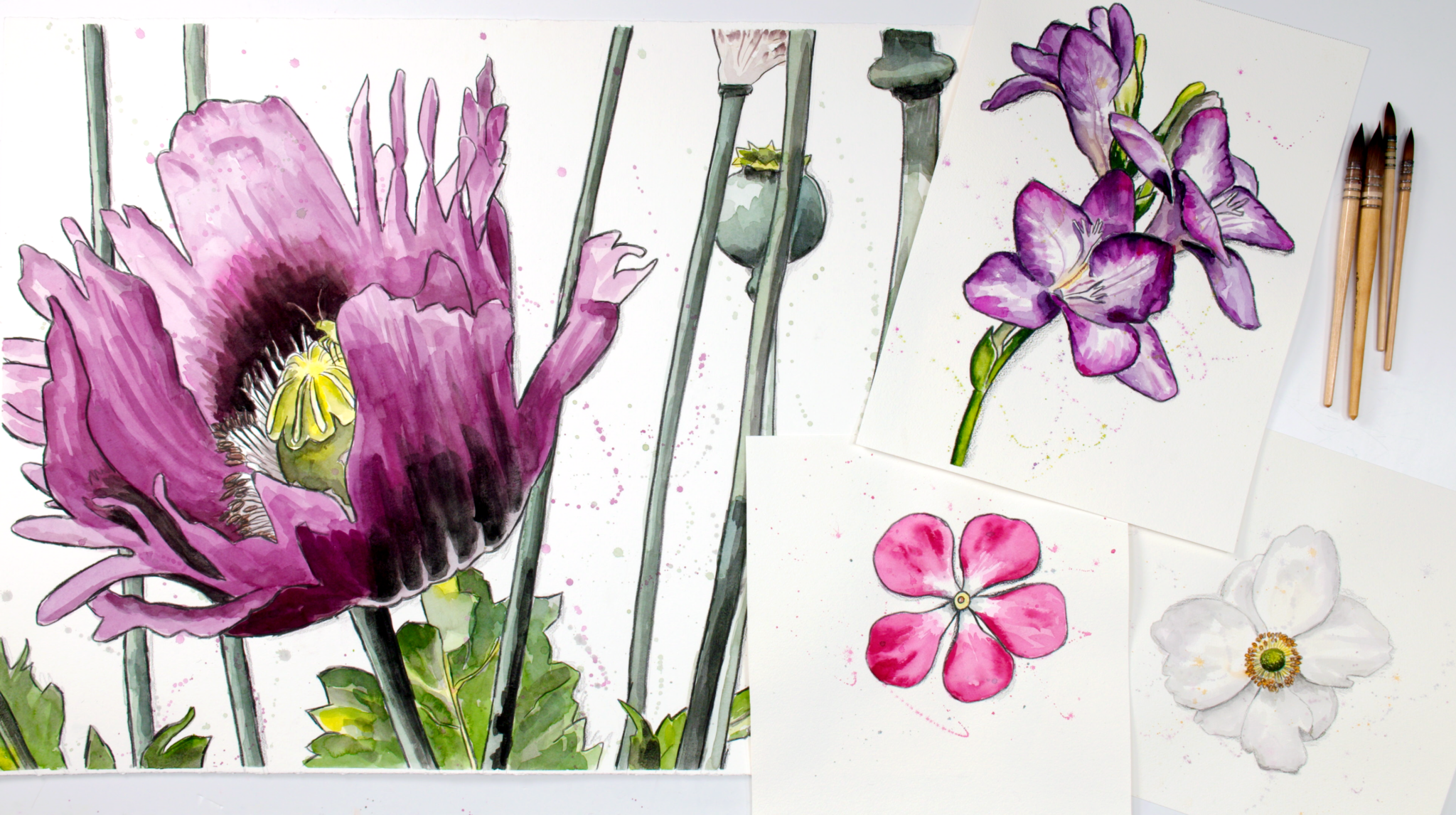 Home - Nature Studio