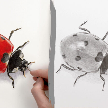 How to make a painting look more 3D - Nature Studio