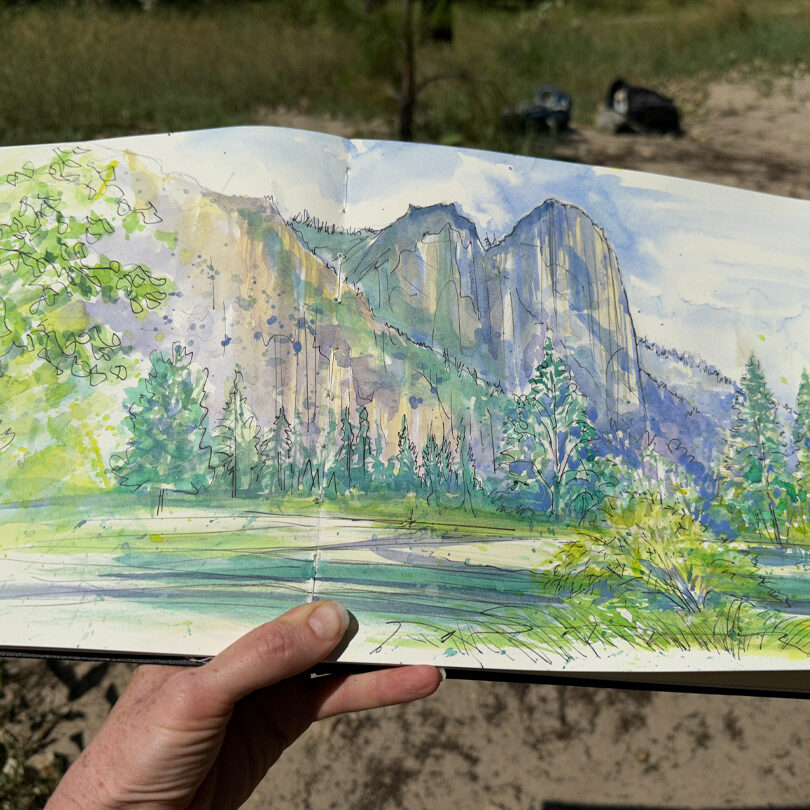 Draw a pencil conker - Nature Studio