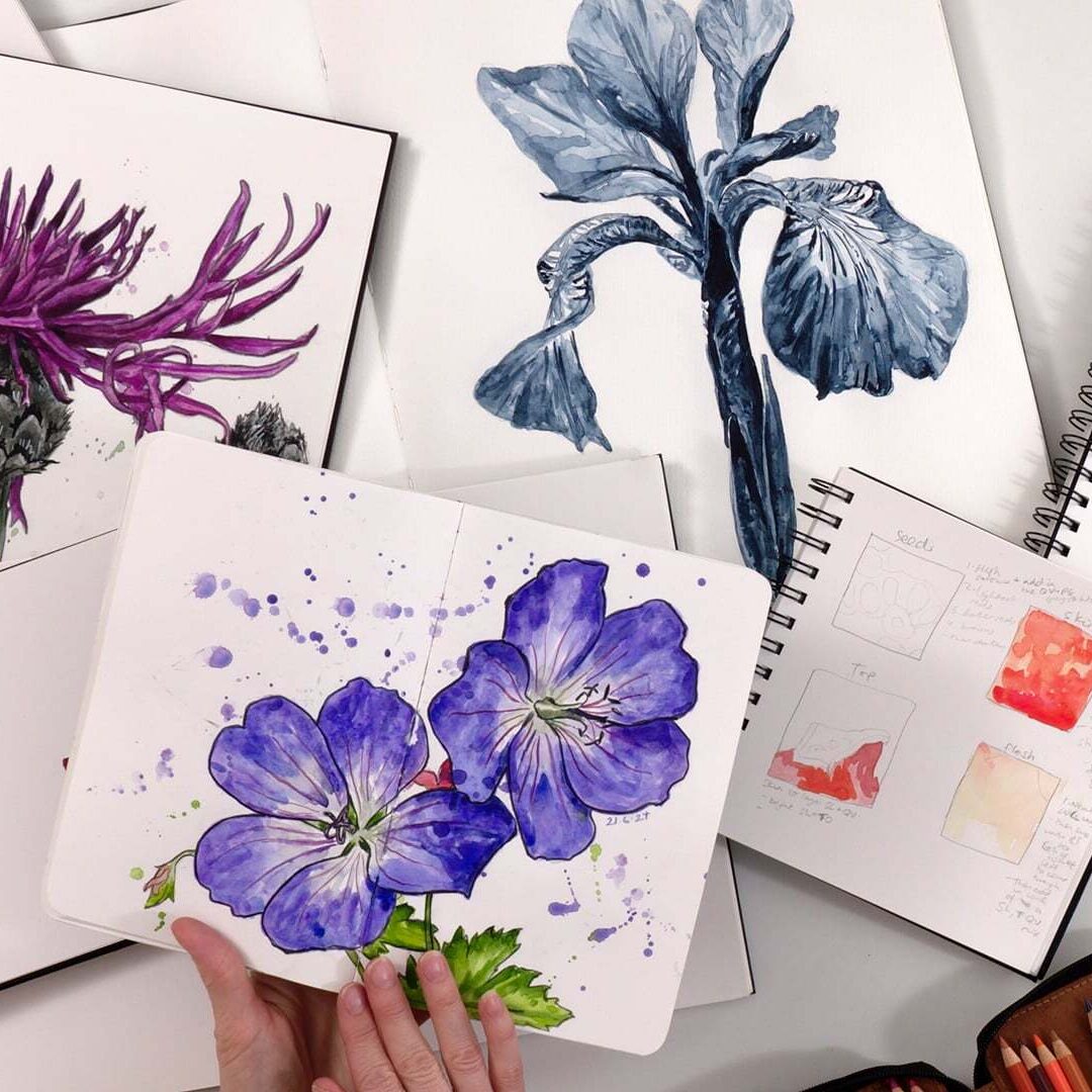 How to paint a realistic blue flower in watercolor - Nature Studio