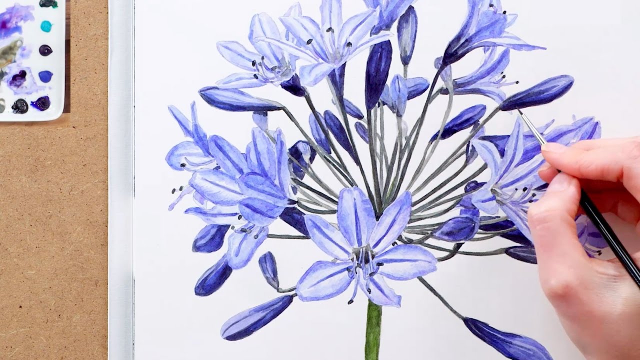 How to paint a really complex flower - Nature Studio