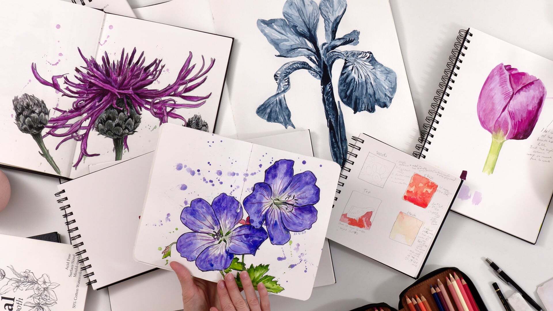How to (actually) use your sketchbooks - Nature Studio